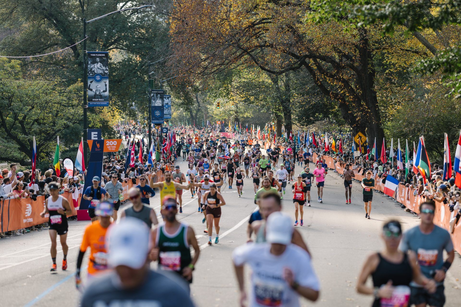 TCS New York City Marathon Tour 2026 - ON SALE NOW! - Tri Travel